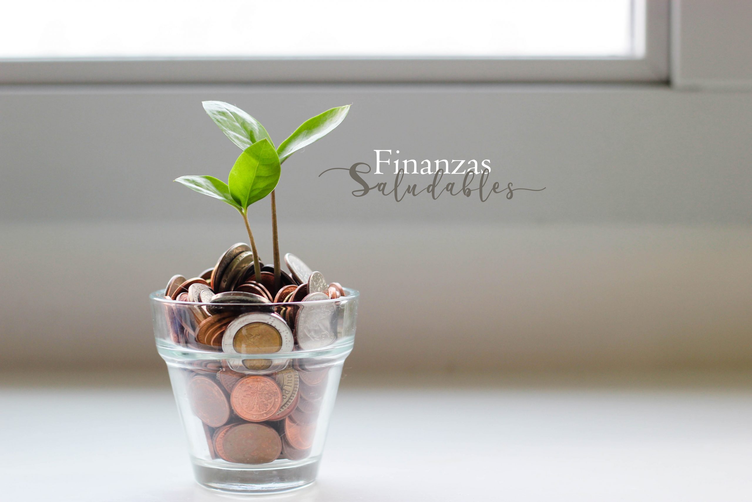 Finanzas Saludables - Daniel y Maria Online Daniel y Maria Online